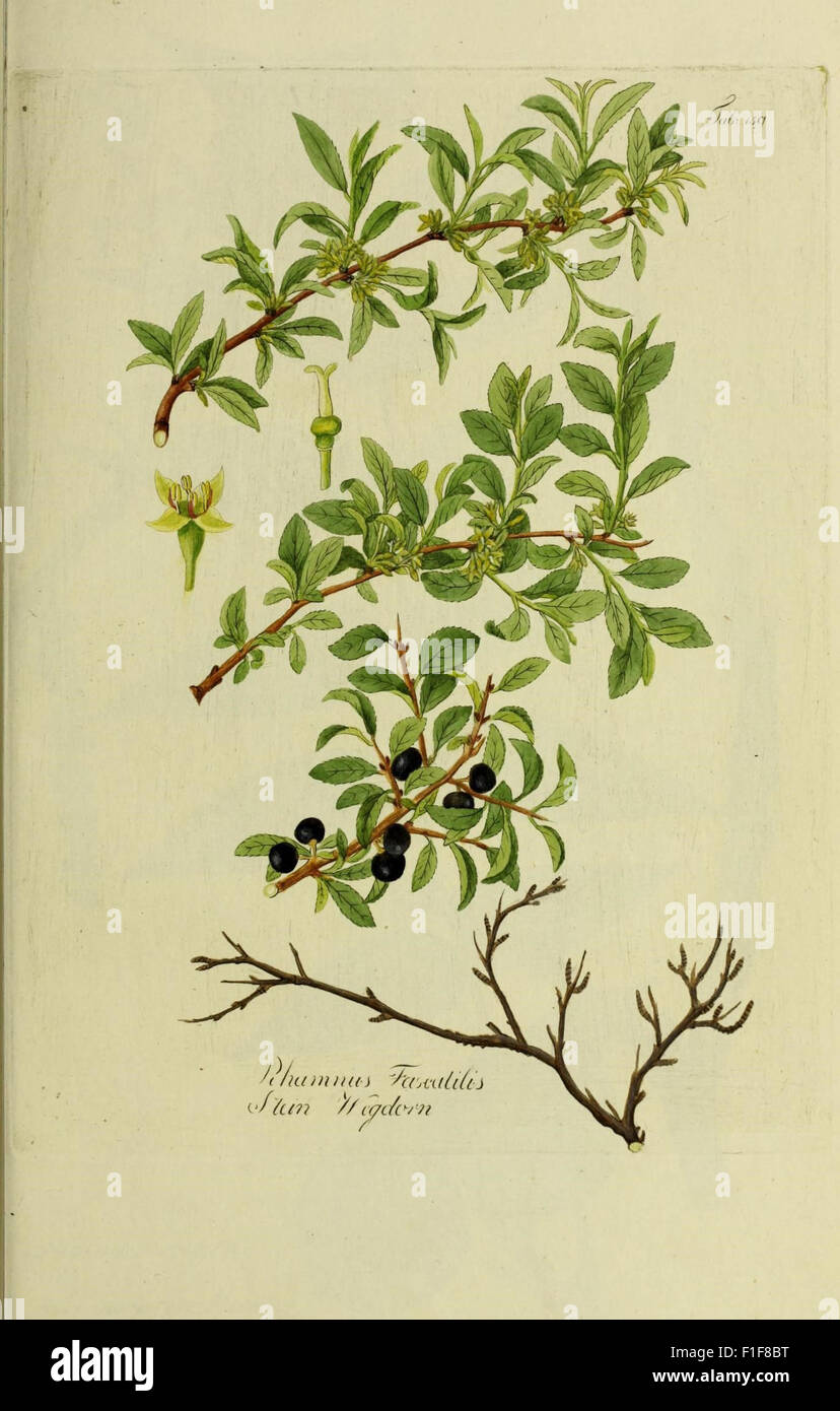 A work on the general tree cultivation in Austria, detailing various ...