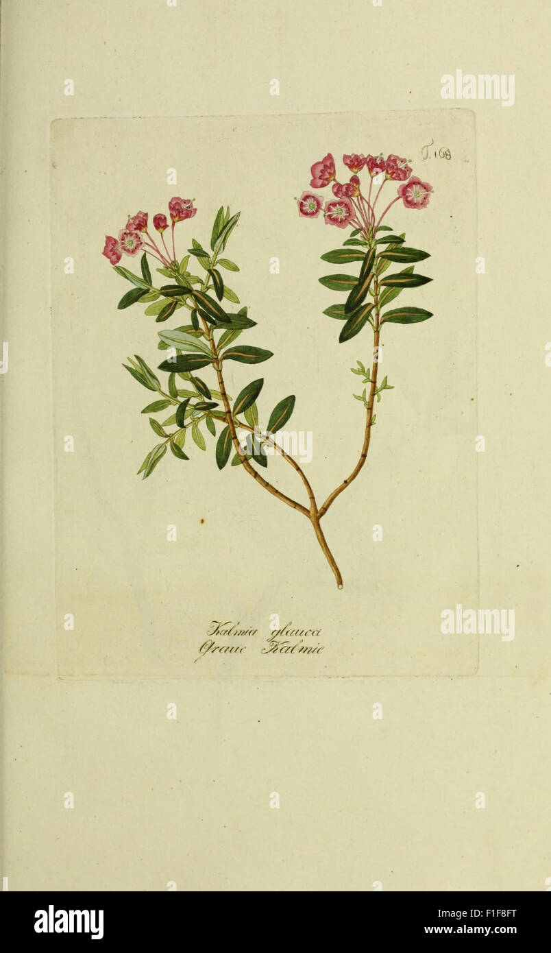 This 19th-century work on Austrian tree cultivation covers various tree ...