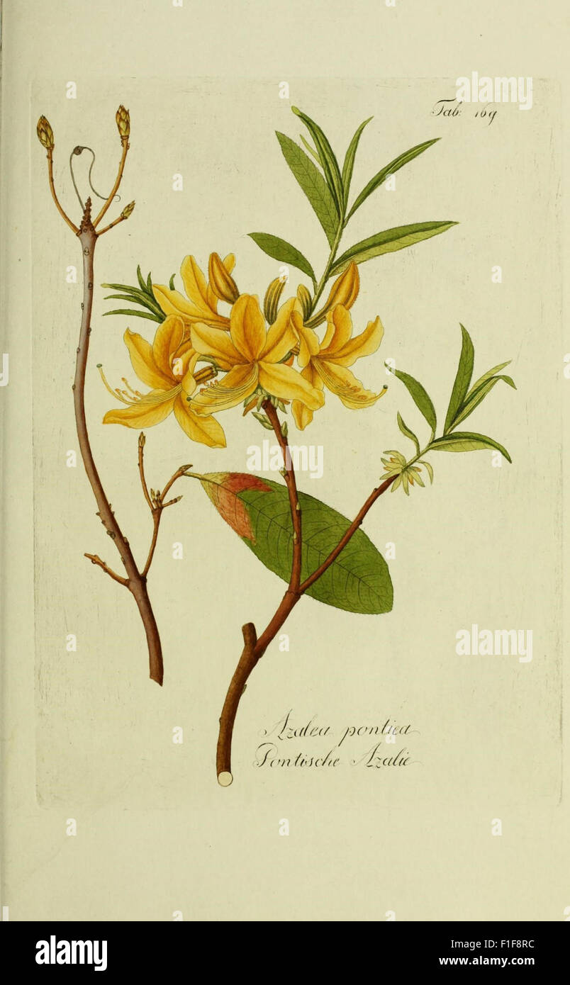 This book on Austrian tree cultivation provides detailed information on ...