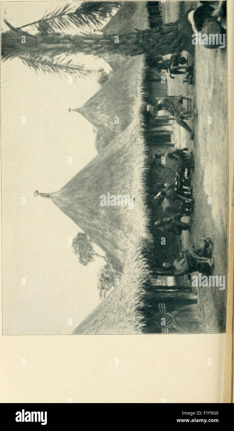 This account chronicles the German Central African Expedition (1910 ...