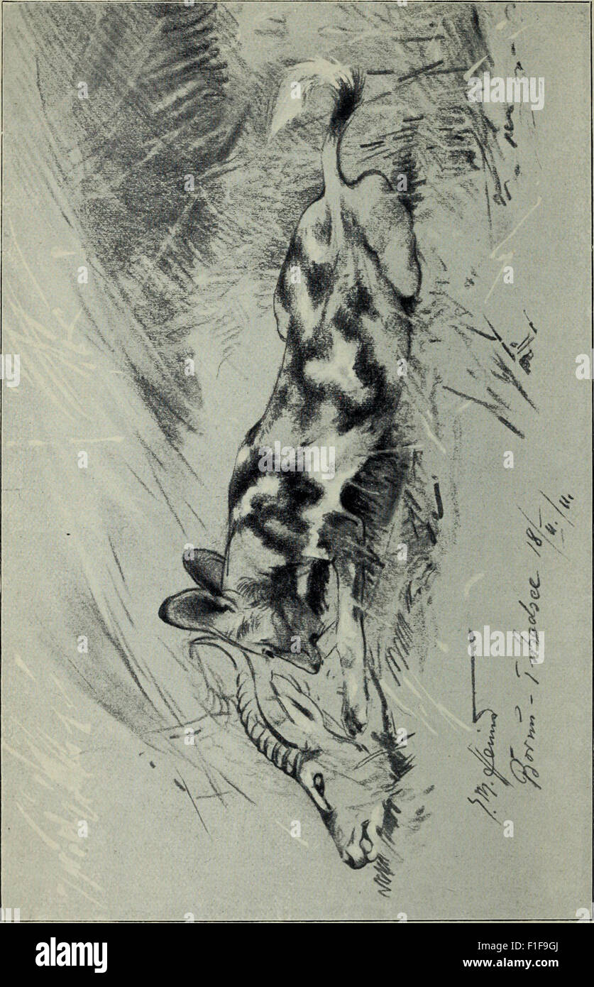 This 1913 publication chronicles the German Central African Expedition ...