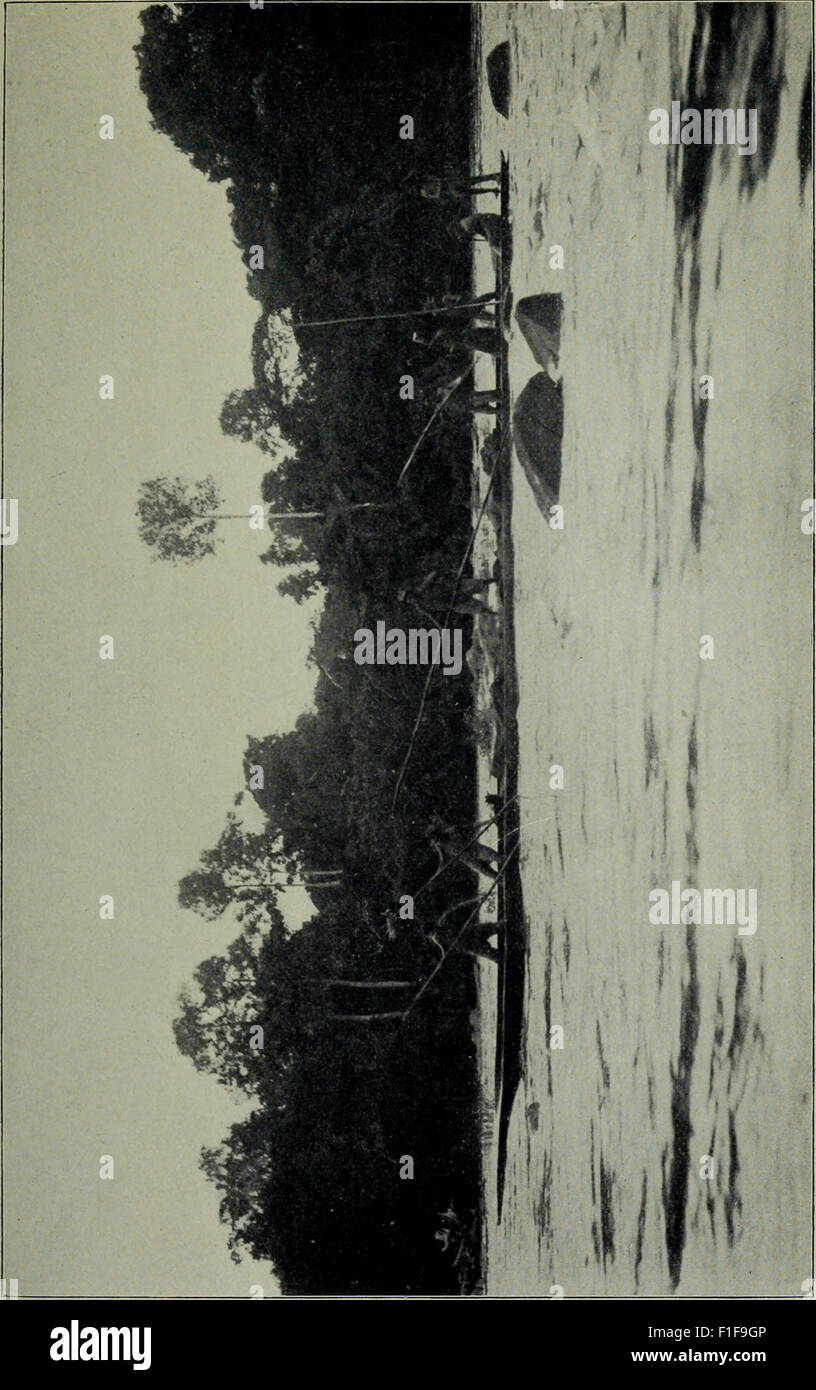 This 1913 account details the German Central African expedition of 1910 ...