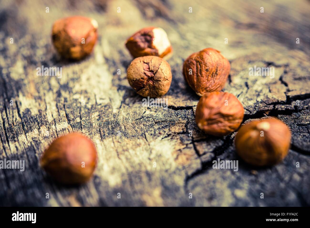 Hazelnuts on Aged Wood Table. Hazelnuts Closeup Stock Photo - Alamy