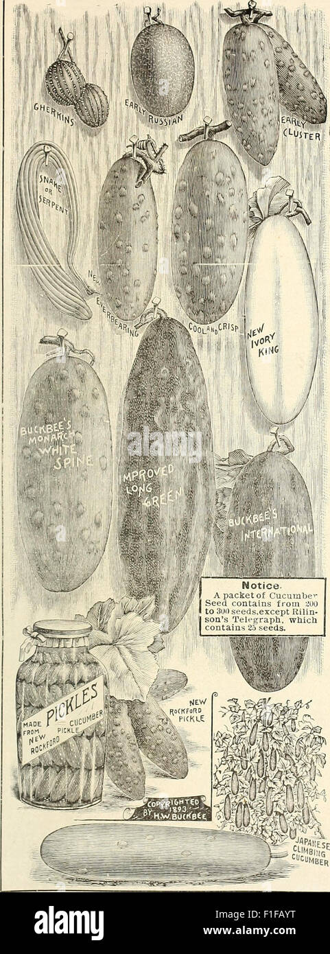 The 'H.W. Buckbee Seed and Plant Guide' (1905) is a catalog of seeds ...