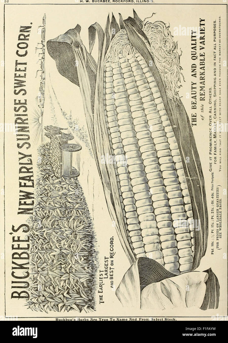 The 1905 H.W. Buckbee Seed and Plant Guide is a comprehensive catalog ...