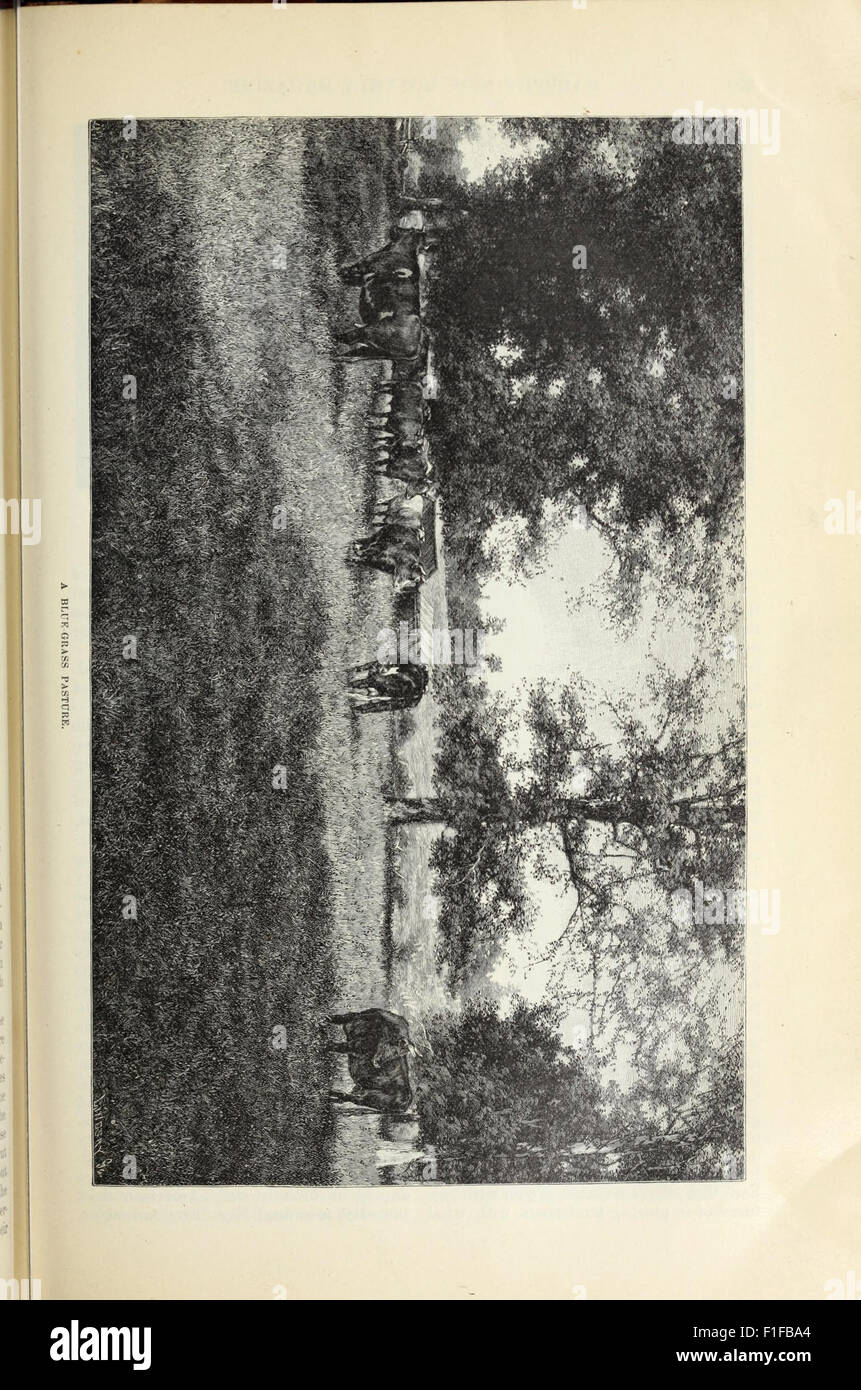 Harper's New Monthly Magazine Volume 34 December 1886 to May 1887 (1887 ...