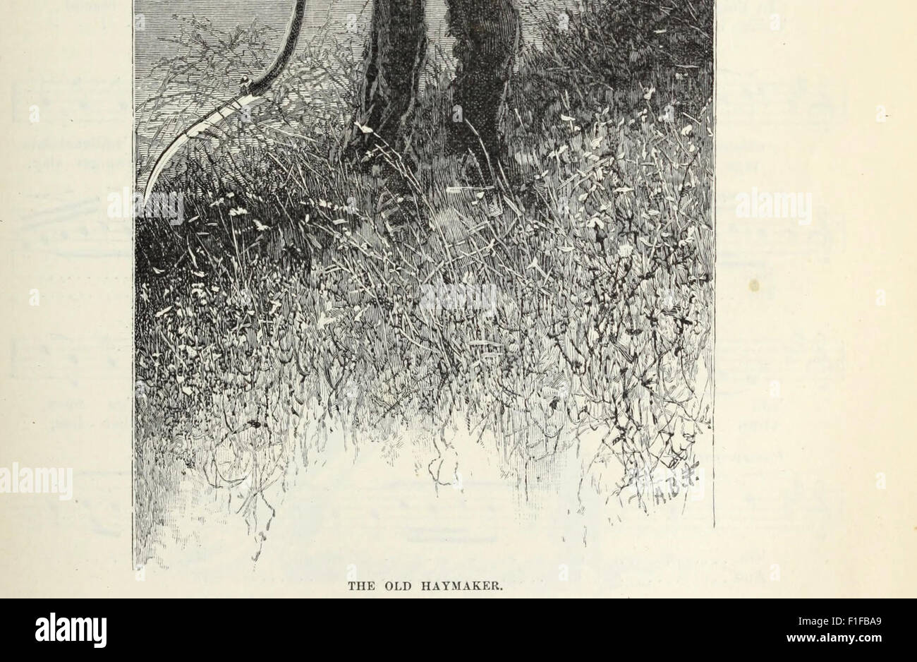This volume of *Harper’s New Monthly Magazine* spans December 1886 to ...