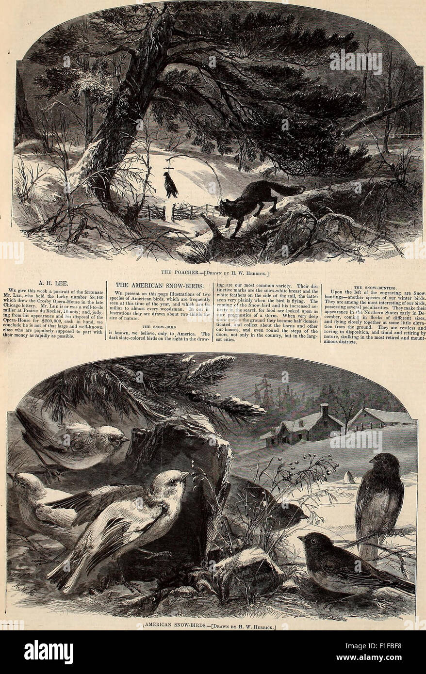 'Harper's Weekly' (1857) is a well-known American periodical that ...