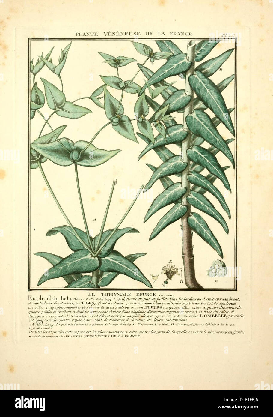 This botanical work offers an extensive collection of plants native to ...