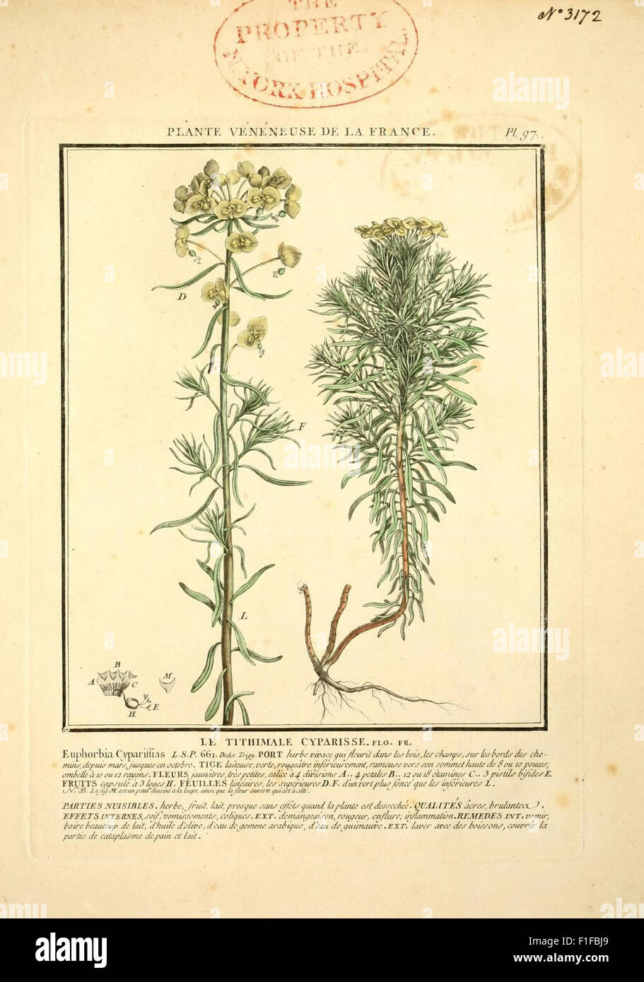 Herbier de la France is a botanical work showcasing France’s plant ...