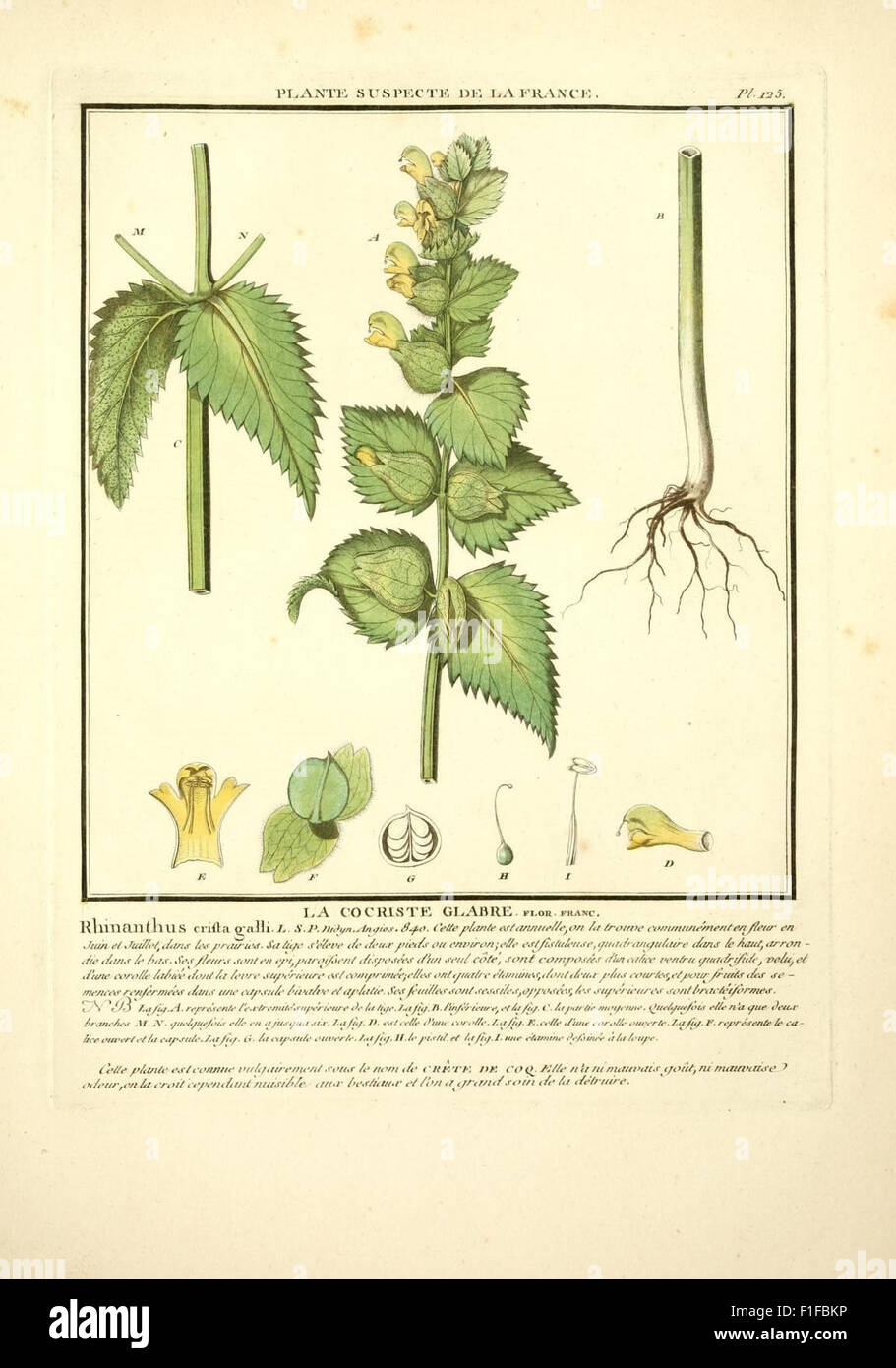'Herbier de la France' is a vintage botanical book focusing on the ...