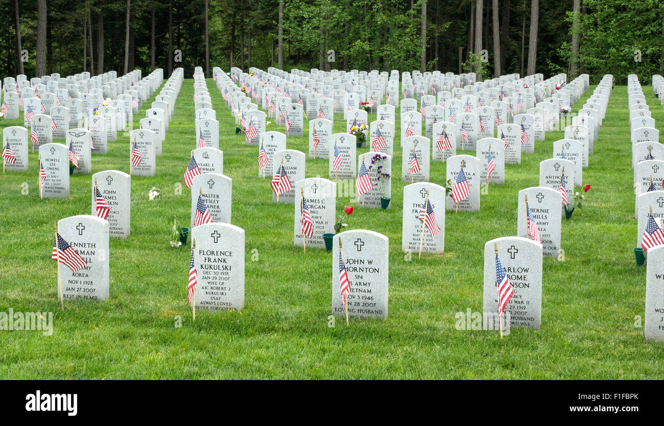 American flags and tombstones at an American National Cemetery Stock ...