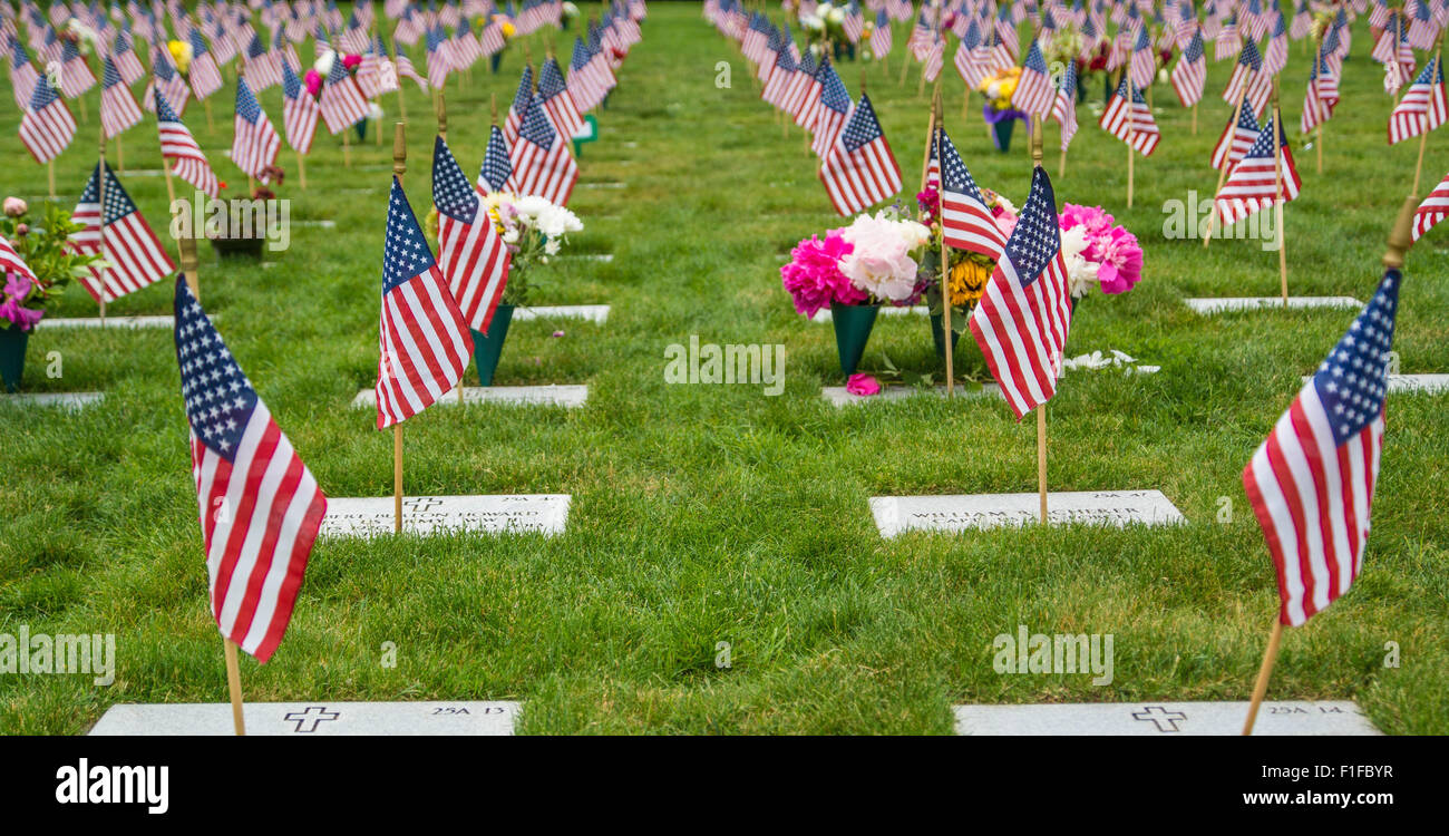 American flags and tombstones at an American National Cemetery Stock ...