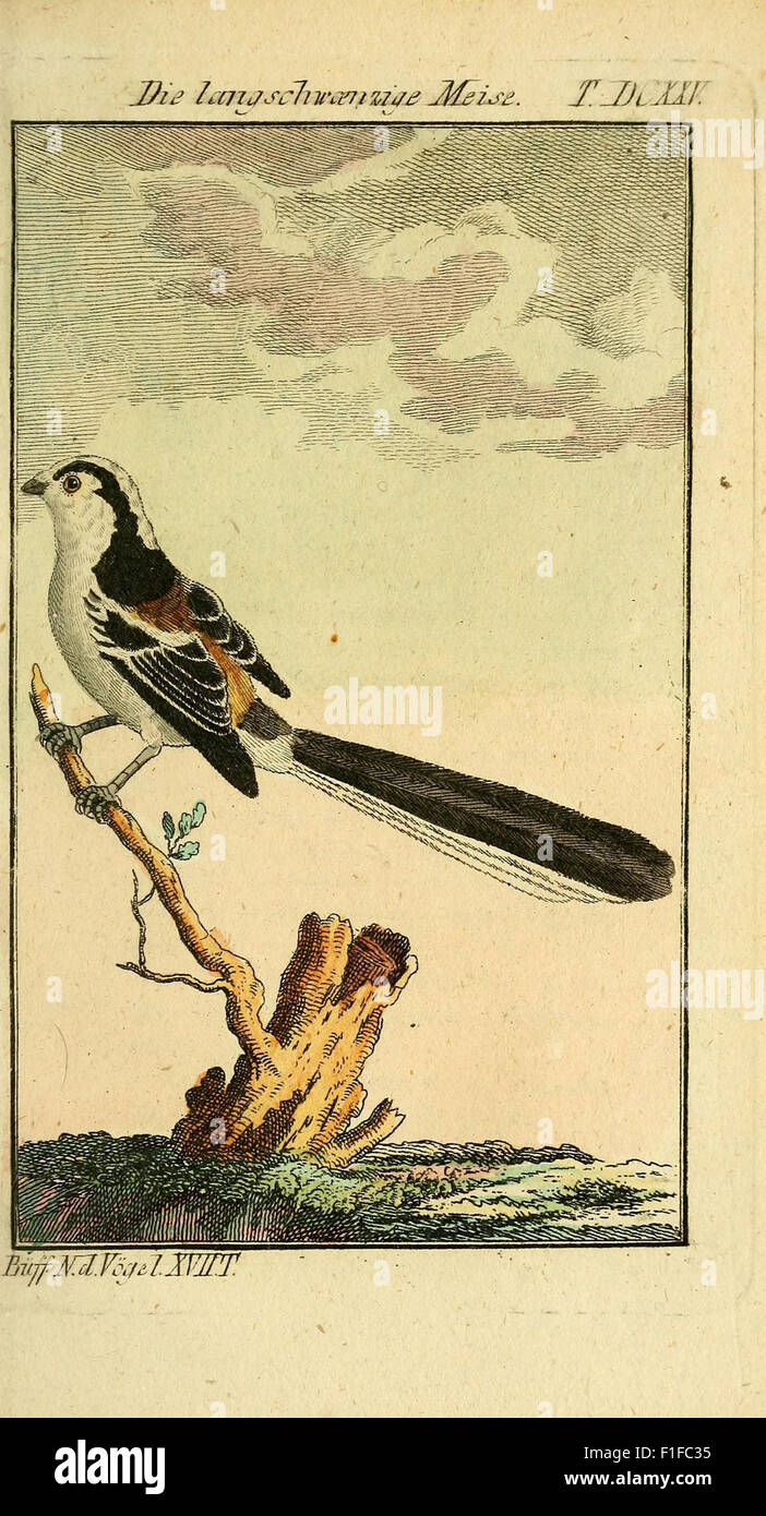 'Herrn von Buffons Naturgeschichte der Vögel' is a classic ...