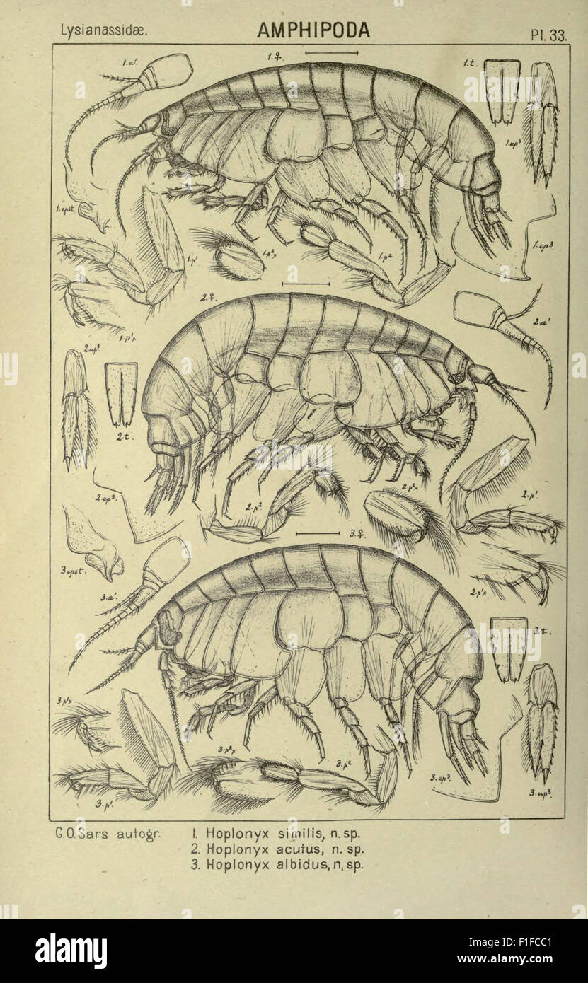 This work offers a detailed account of Norwegian crustaceans, with ...