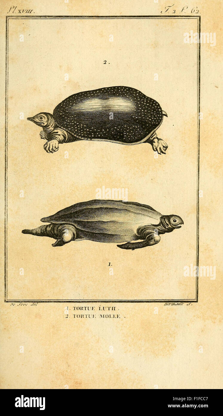 "Histoire naturelle des reptiles" (Natural History of Reptiles) is a ...