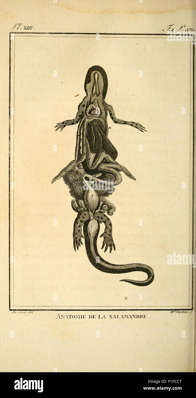 This historical work details the natural history of reptiles, offering ...