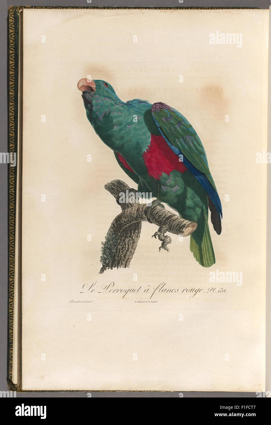 A historical work on the natural history of parrots, detailing their ...