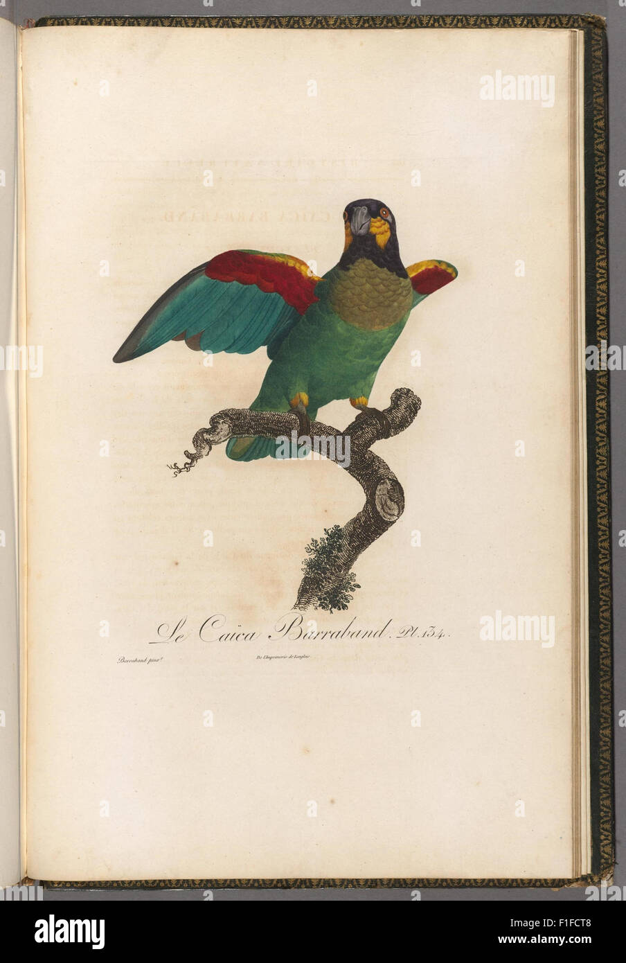 This work on the natural history of parrots provides detailed ...