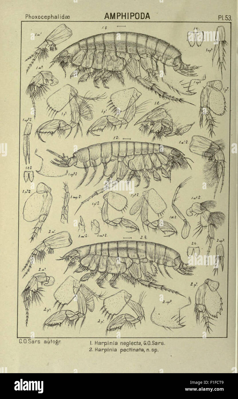 This work provides a detailed study of the crustaceans found in Norway ...