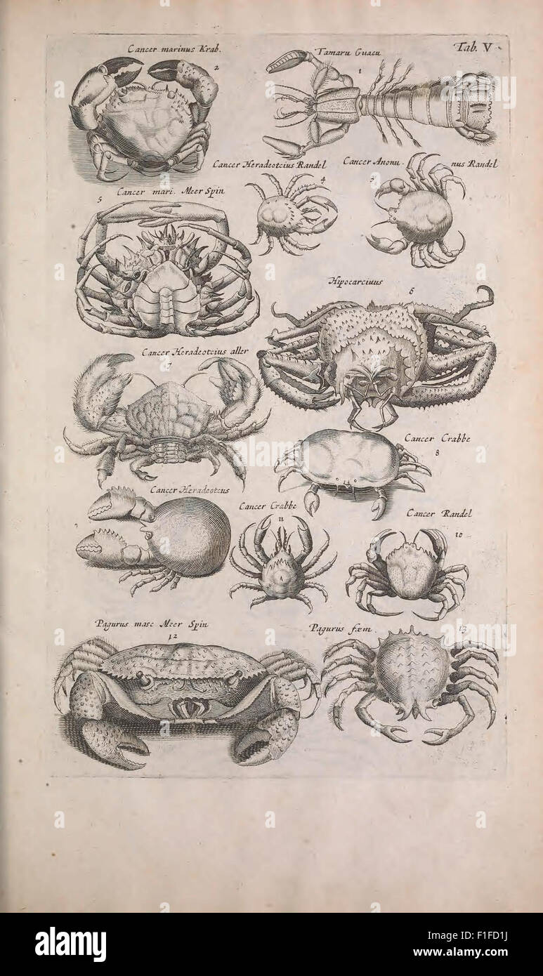 *Historiae Naturalis de Quadrupedibus* is a historical text on the ...