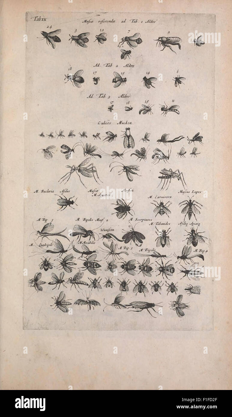 *Historiae Naturalis de Quadrupedibus Libri* (1749) is an early natural ...