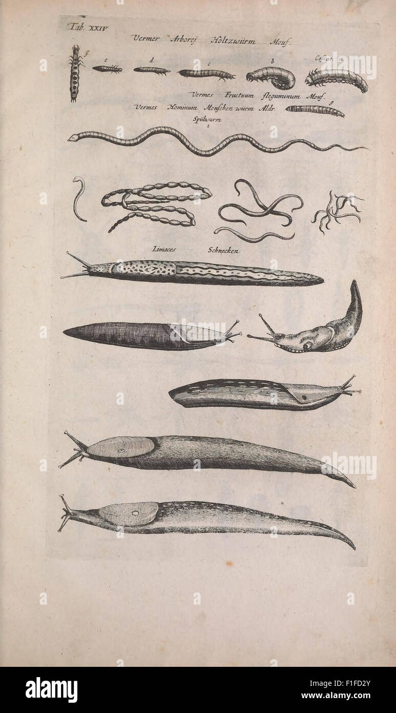 'Historiae naturalis de quadrupedibus libri' is a comprehensive natural ...