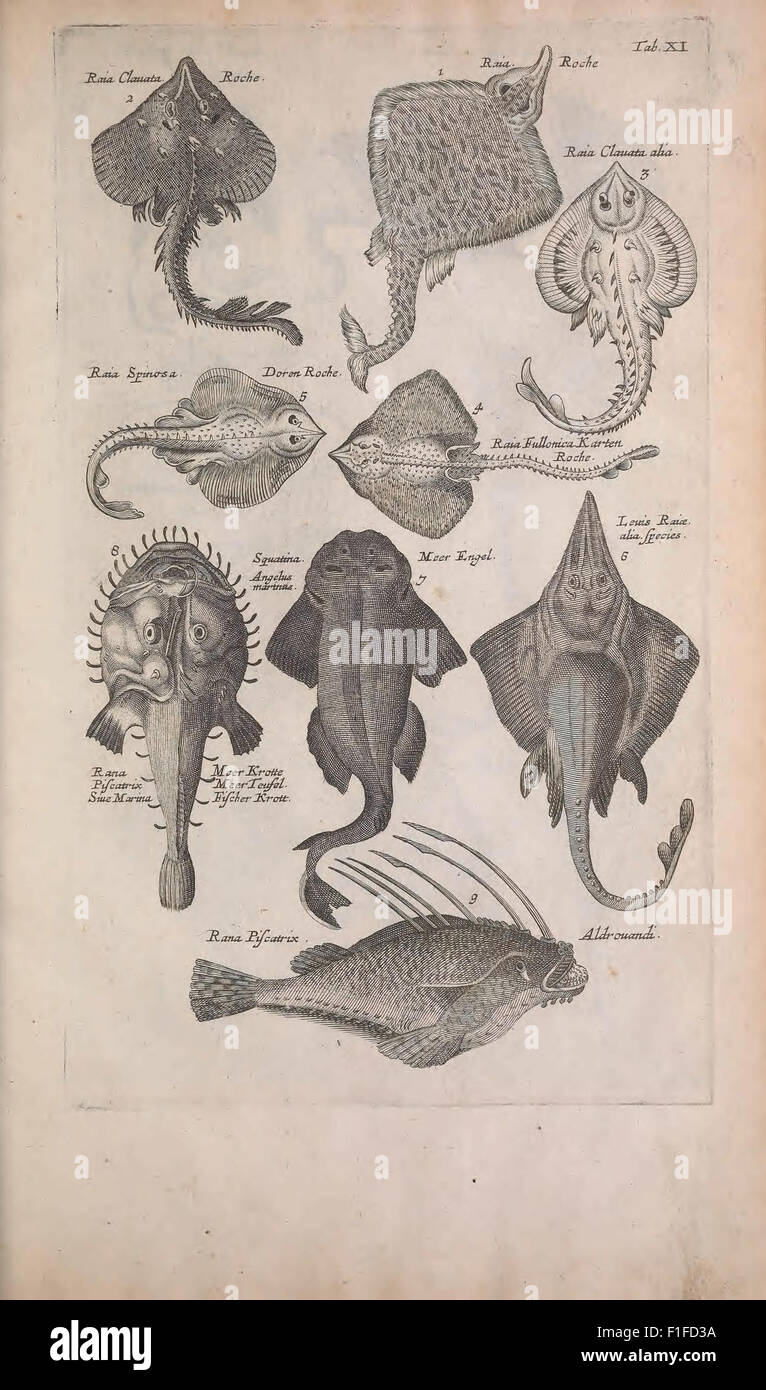 This early work on natural history discusses quadrupeds (four-legged ...