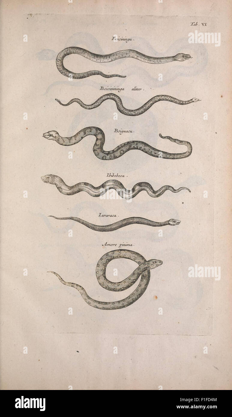 'Historiae naturalis de quadrupedibus libri' is a historical work on ...