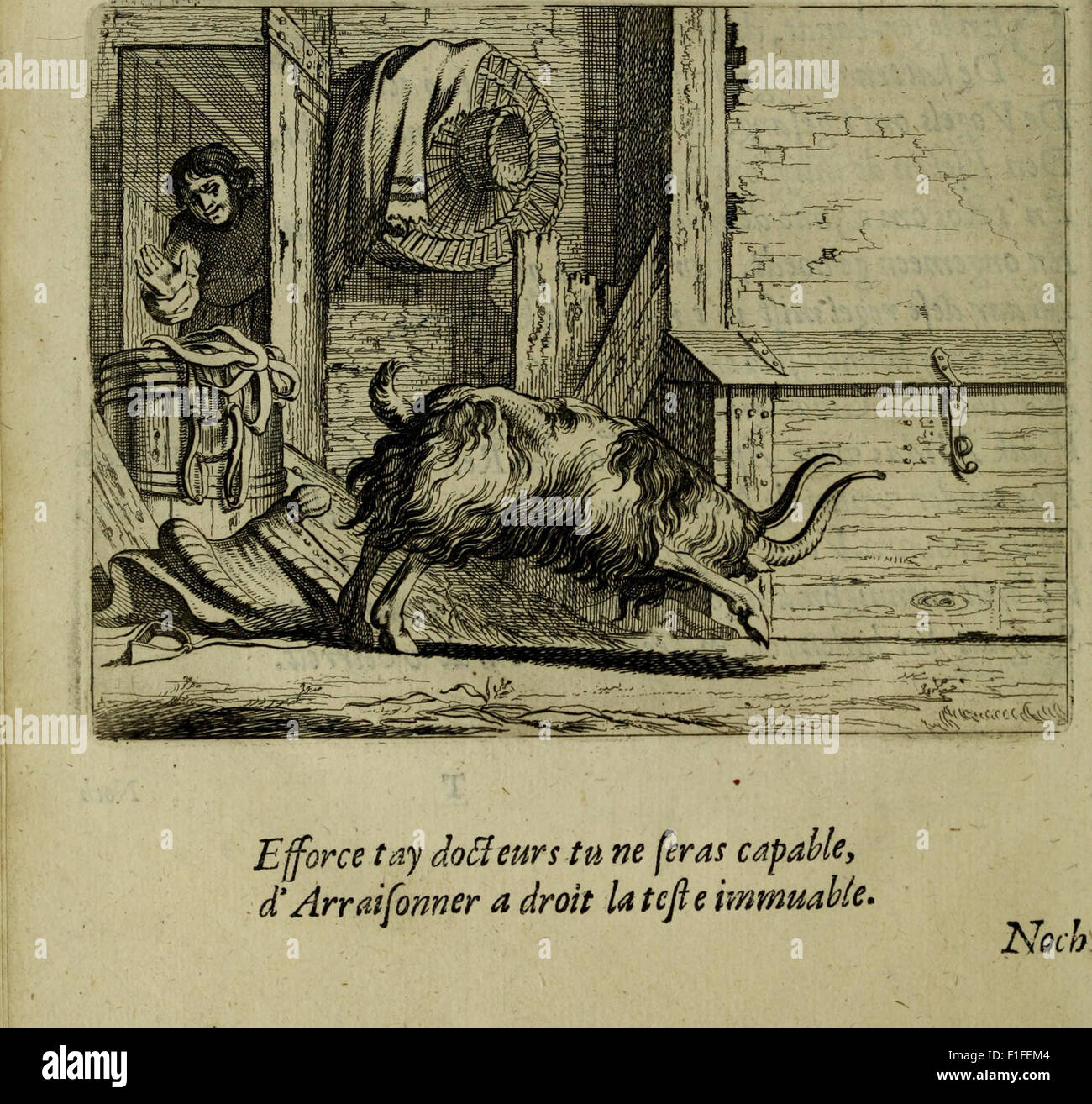 Ian van der Veens Zinne-beelden oft Adams appel (1642 Stock Photo - Alamy