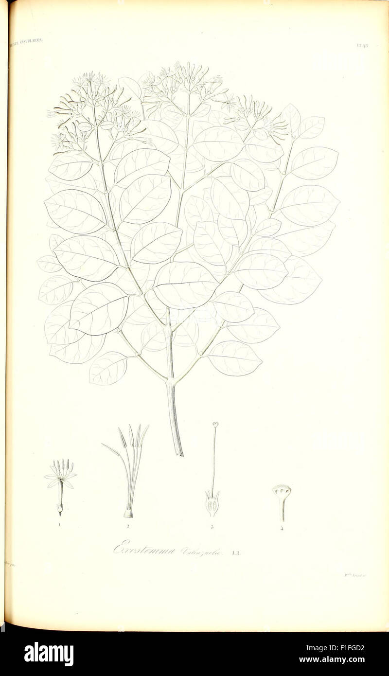 This work contains illustrated descriptions of the plants of Cuba ...