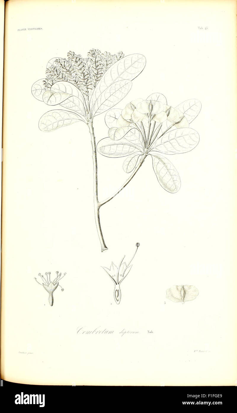 This botanical work focuses on the plant species native to Cuba ...
