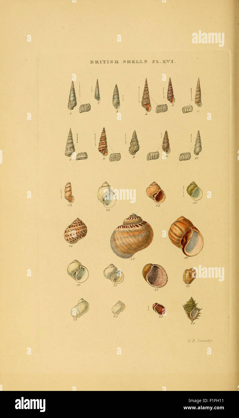 This illustrated index presents detailed images and descriptions of ...