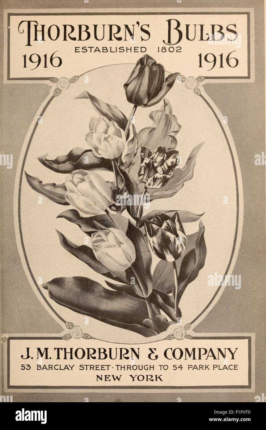 J.M. Thorburn & Co.'s annual catalog provides a detailed list of flower ...