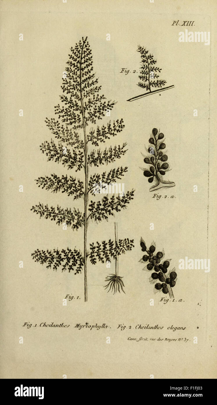 This journal focuses on the application of botany to agriculture ...