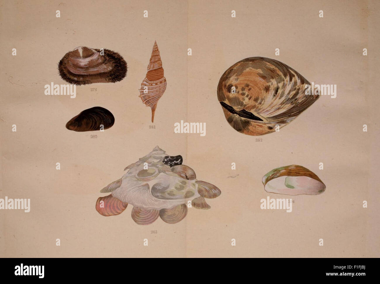 'Kaisenshu' is a collection of Japanese illustrations focusing on ...