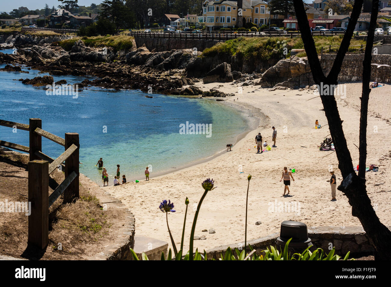 Cove grove hi-res stock photography and images - Alamy