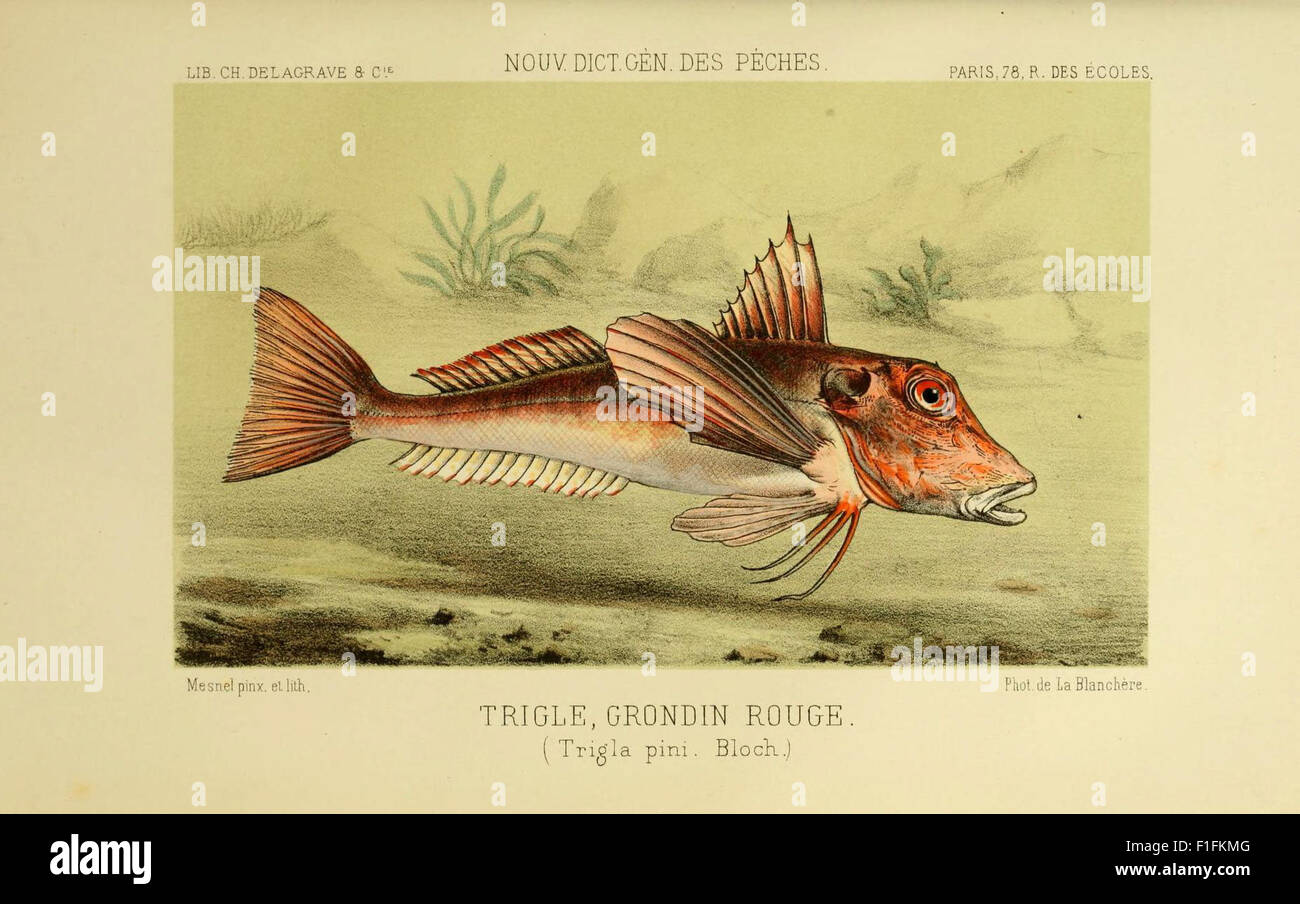 This work provides detailed information on fishing practices and fish ...