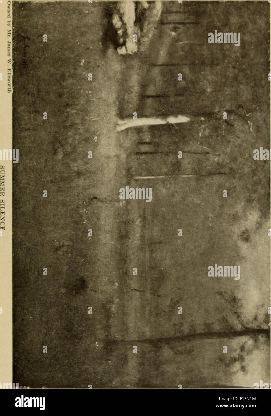 This 1917 biography details the life and works of George Inness, an ...