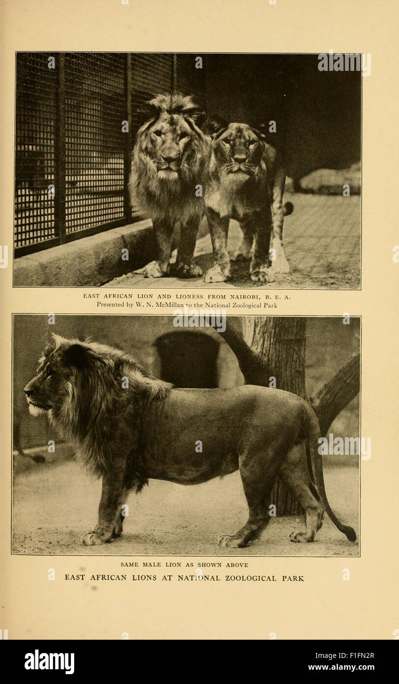 This work provides in-depth life histories of African game animals ...