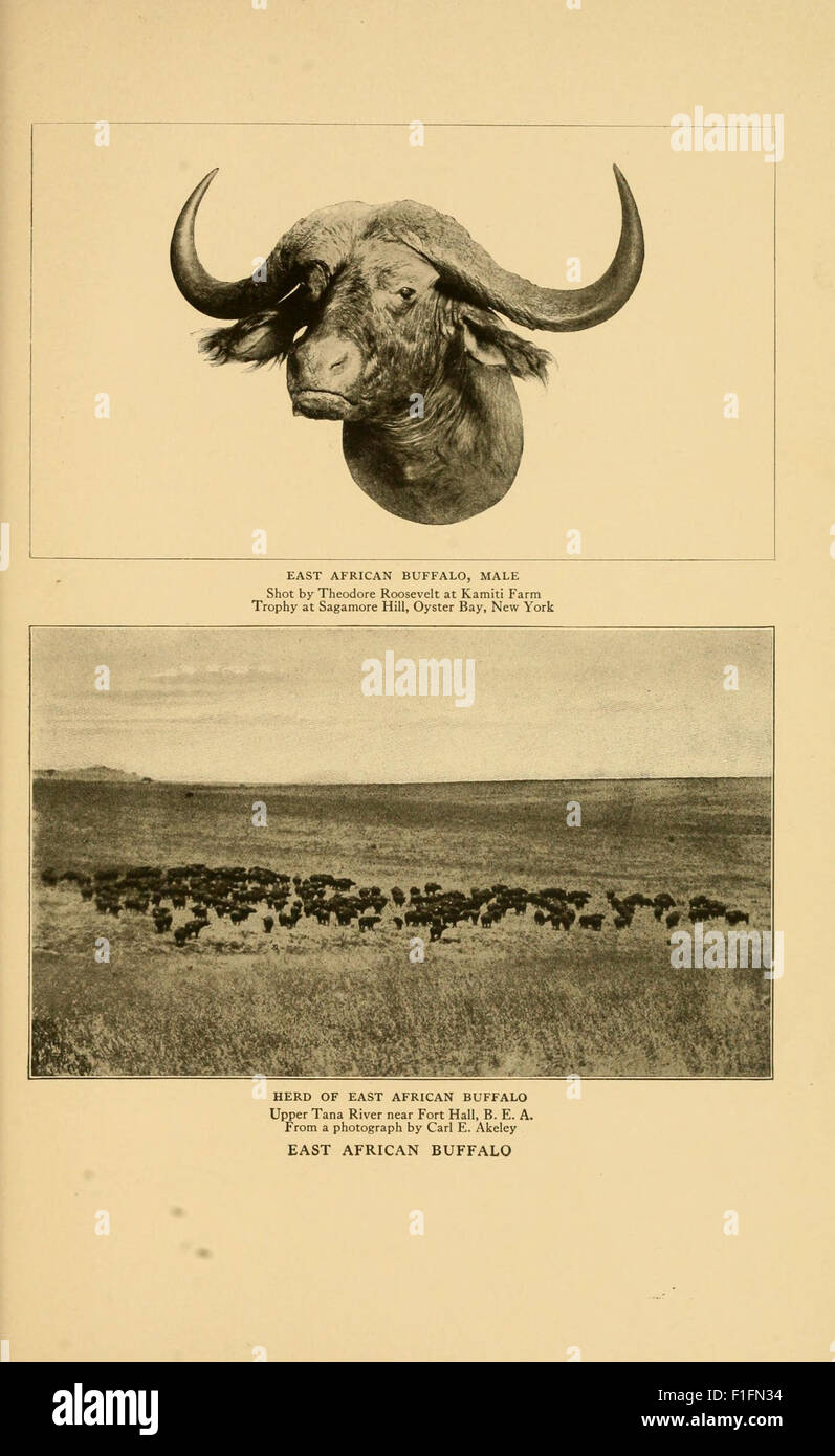 'Life-Histories of African Game Animals' explores the behavior, biology ...