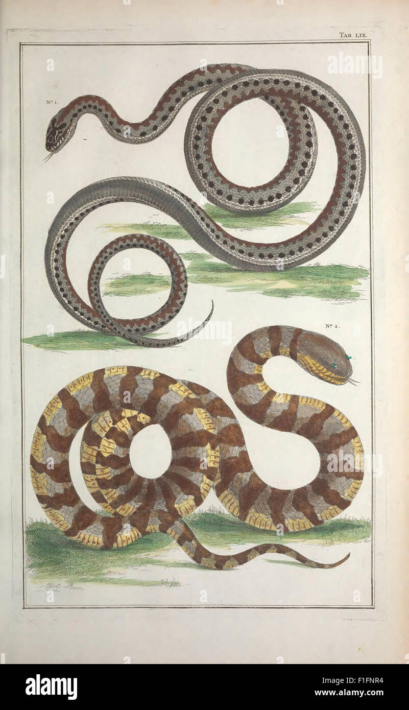 This work is a thorough description and illustrated catalog of natural ...