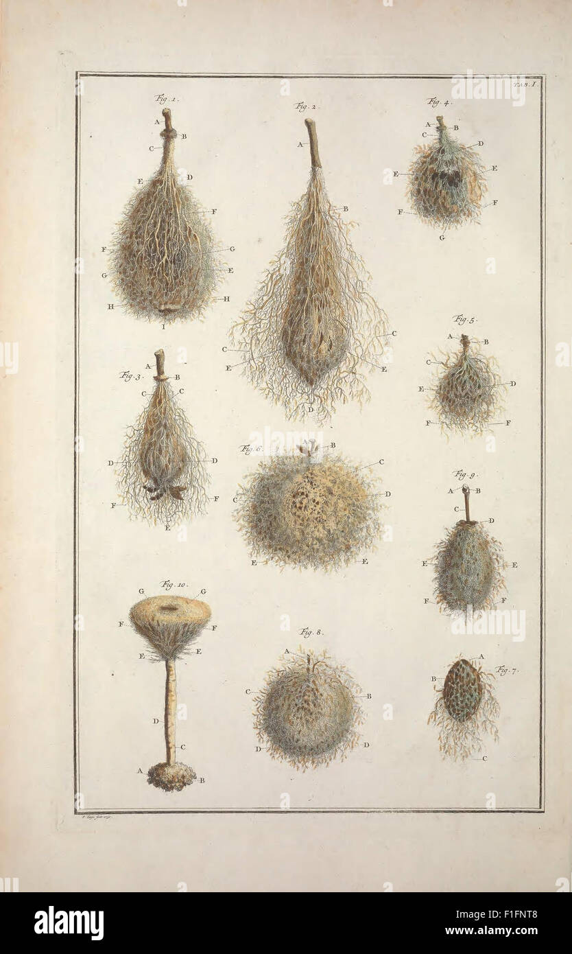 This comprehensive work offers a detailed description and artistic ...