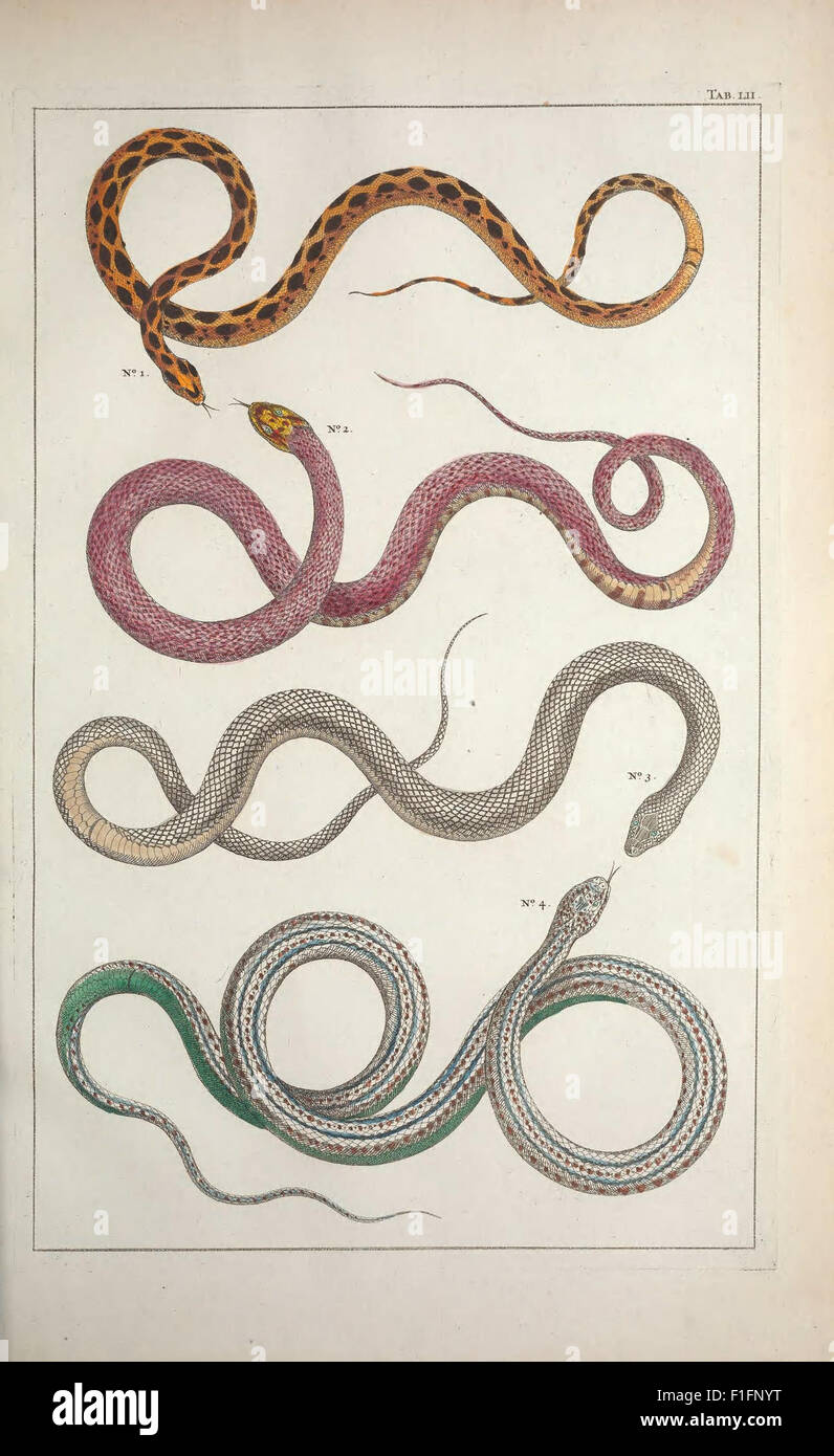 This work offers a thorough description and highly detailed ...