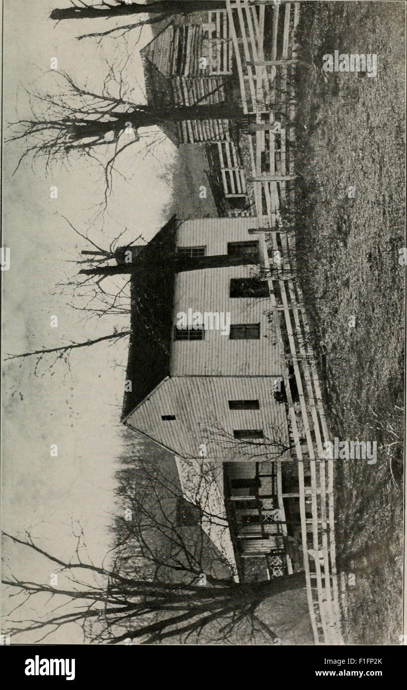 This work chronicles the history and descendants of the Lyle family ...