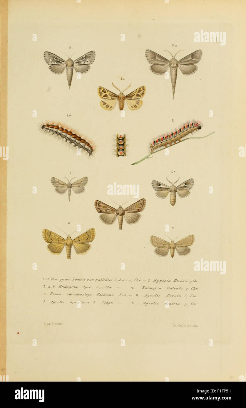 This historical work focuses on Lepidoptera (butterflies) of Asia ...