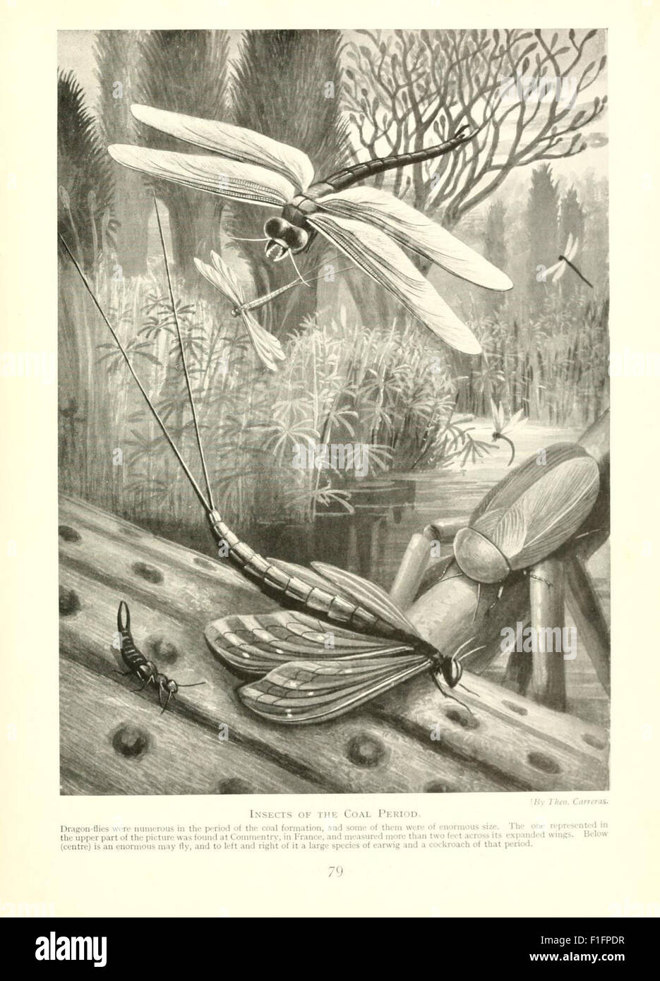 This historical work explores the diverse and fascinating world of ...