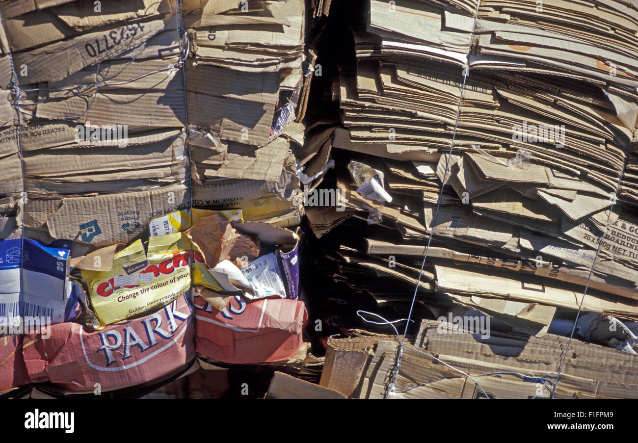 CARDBOARD BOXES COLLAPSED AND BUNDLED READY FOR RECYCLING, WESTERN ...