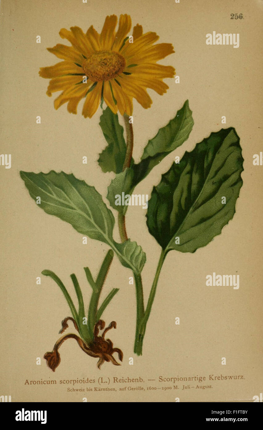 This atlas provides detailed illustrations and descriptions of the ...