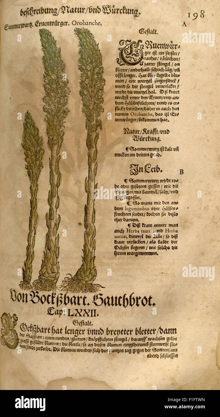 'New Kreterbuch' is an early work on botany and medicinal plants ...
